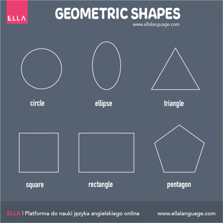 Geometria po angielsku: figury, bryły | Geometry | ELLA