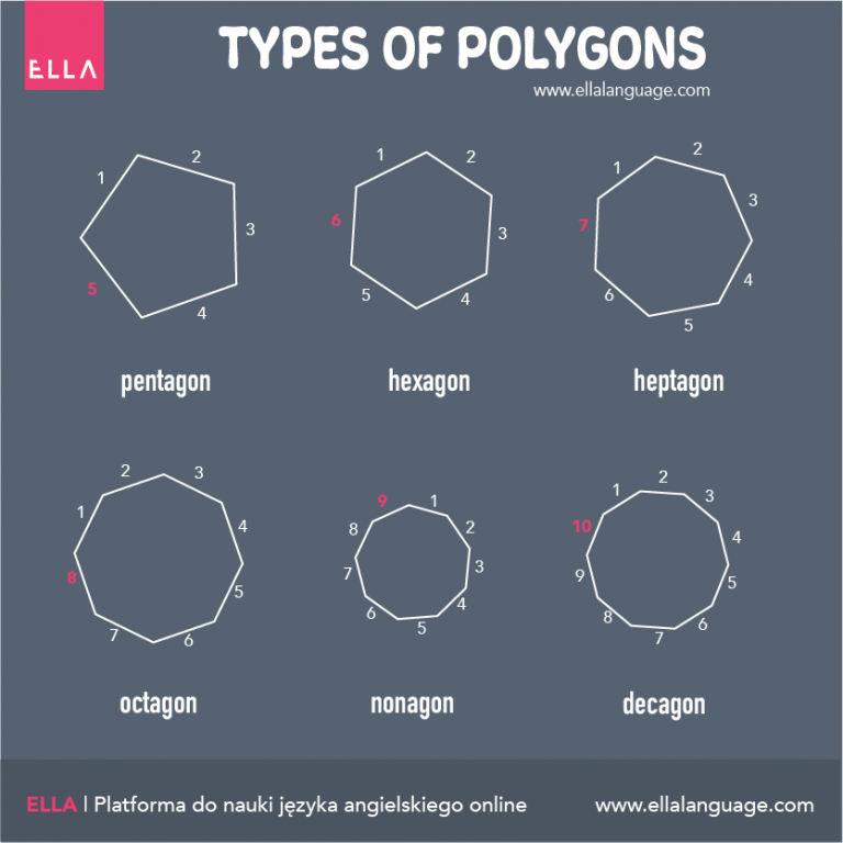 Geometria po angielsku: figury, bryły | Geometry | ELLA