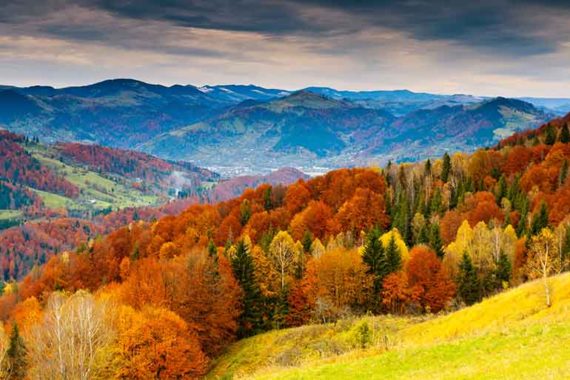 Autumn vs Fall | Seasons | ELLA